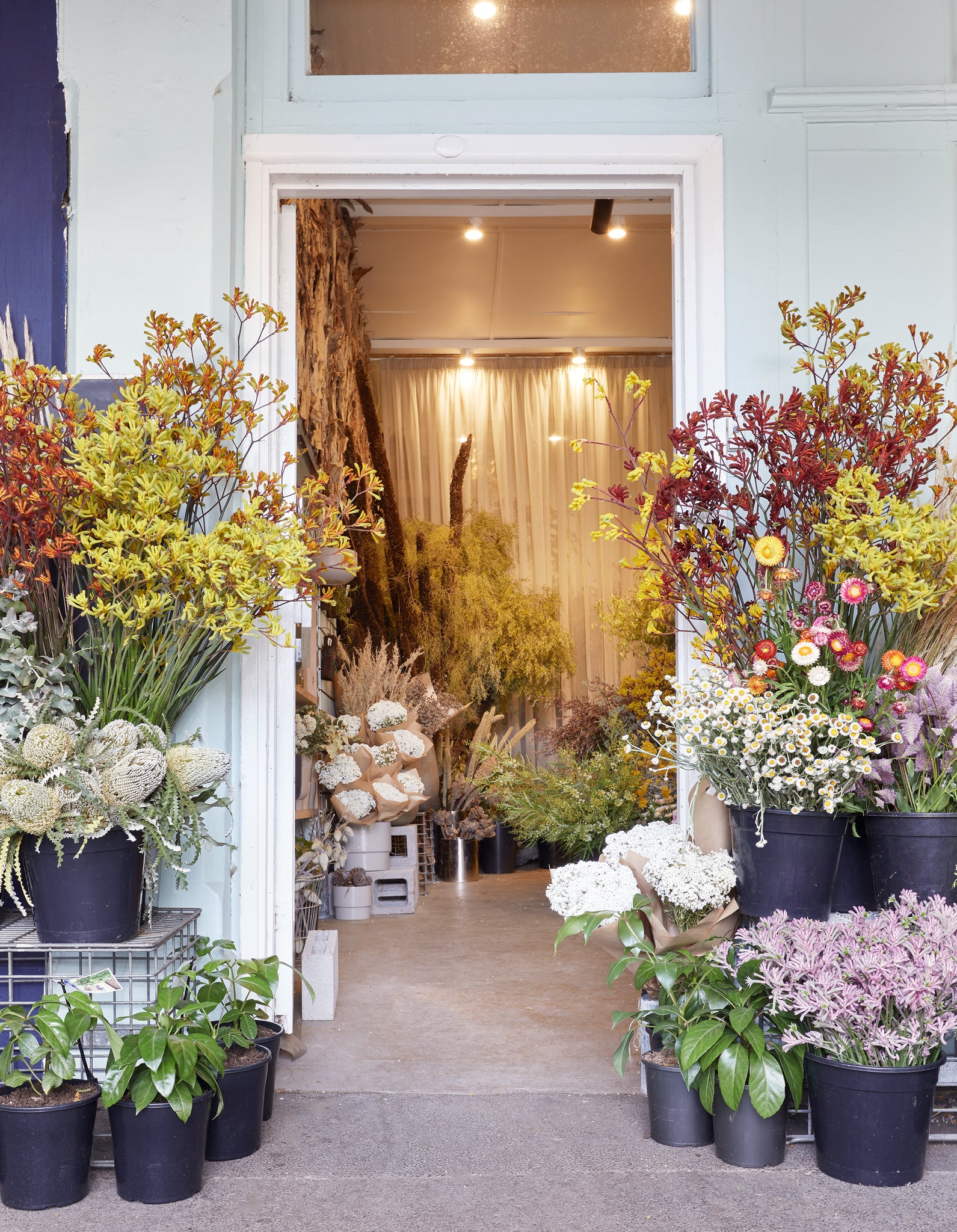 Flower Delivery Melbourne | Best Flower Delivery Melbourne – Bush Flowers